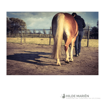 Assertiviteit | Hilde Mariën | Vind-een-Coach.nl